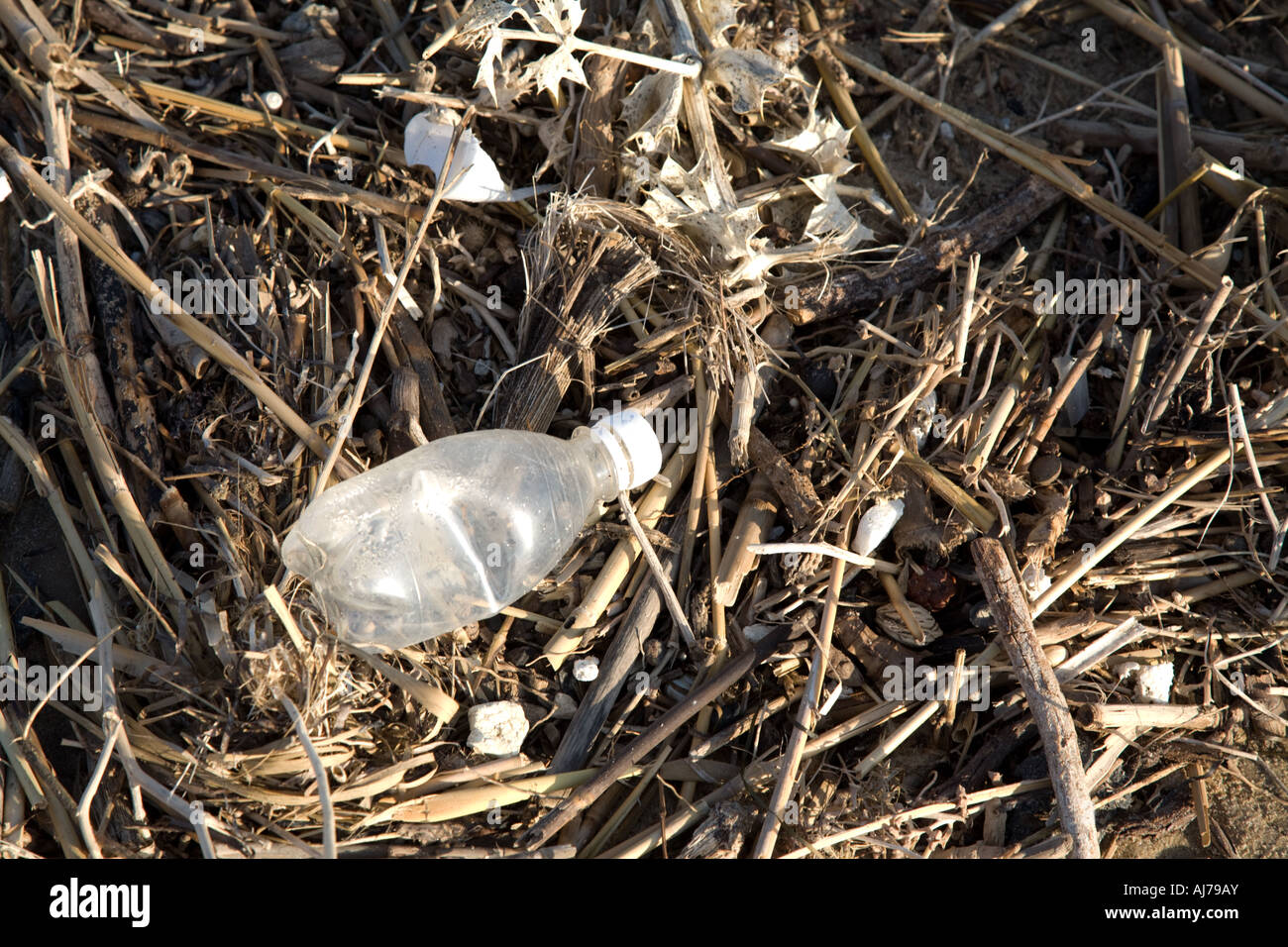 Washed up waste, Beach Shoreline Sicily Italy Stock Photo - Alamy