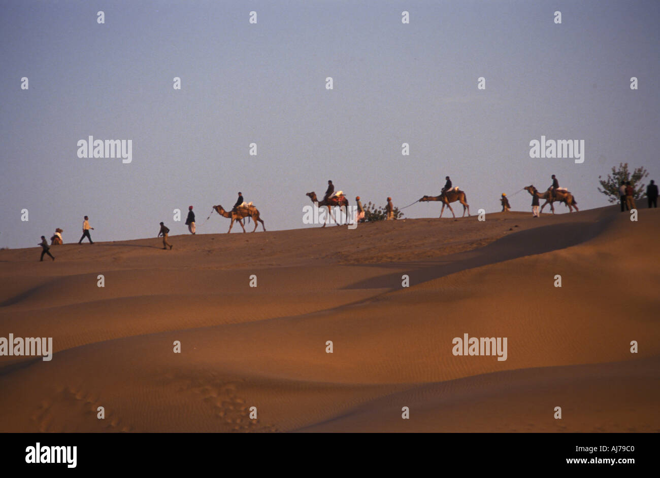 Ecosystems of india hi-res stock photography and images - Alamy