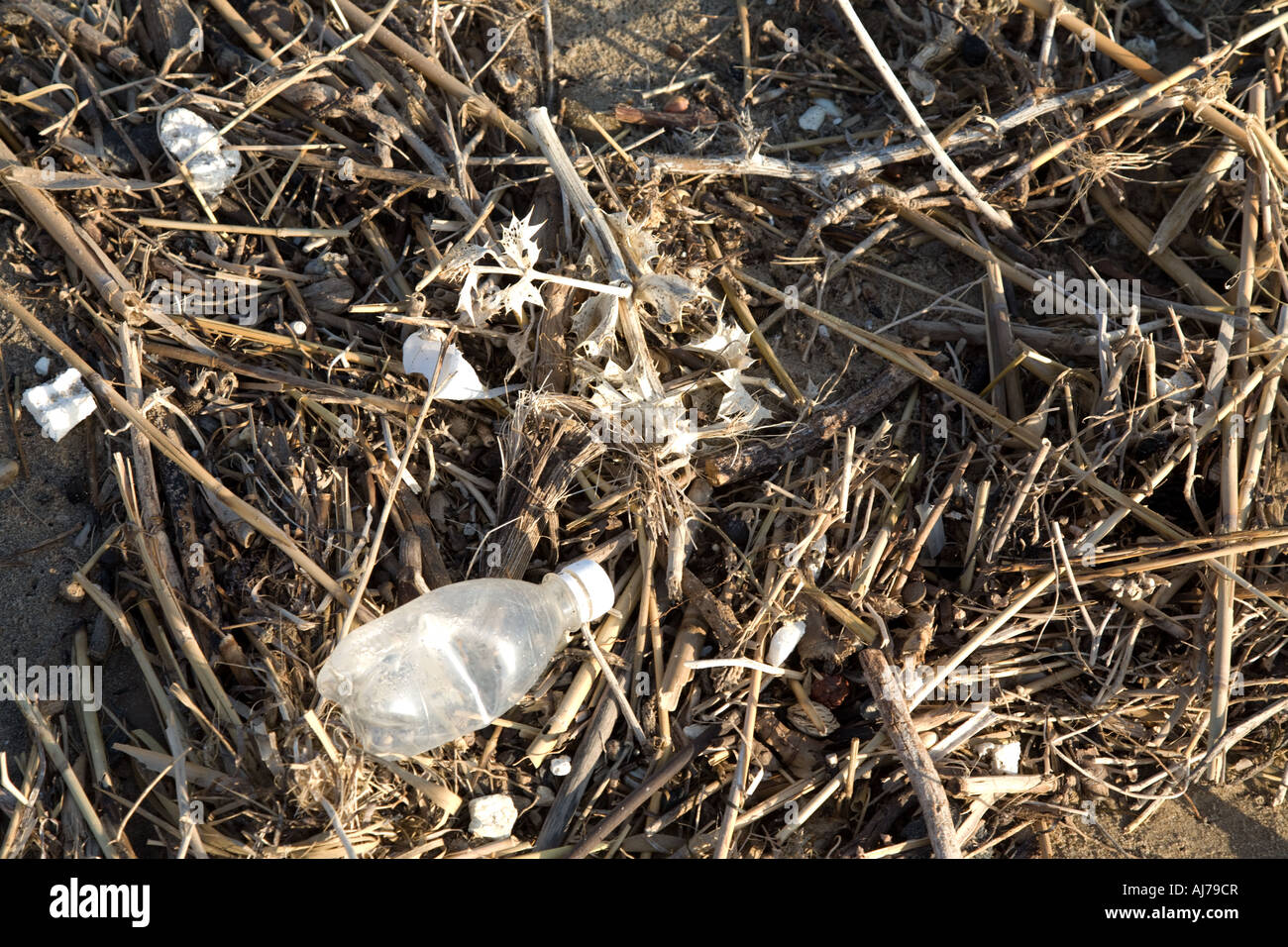 Washed up waste, Beach Shoreline Sicily Italy Stock Photo - Alamy