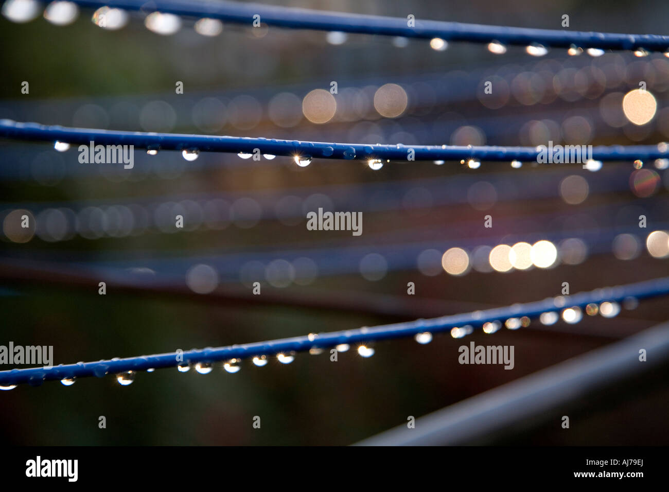 Washing line with rain drops and sun after a shower (45 Stock Photo - Alamy