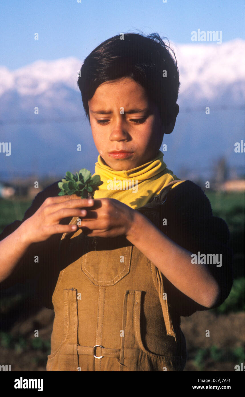 South America Farmer Boy Santiago Chile SB Stock Photo - Alamy