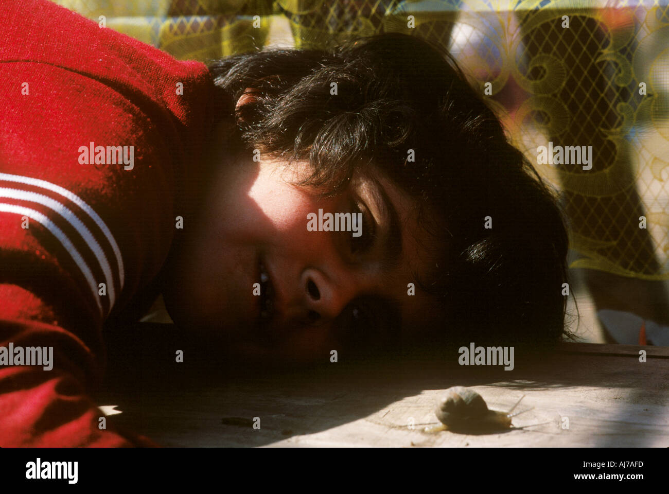 Homeless snail hi-res stock photography and images - Alamy