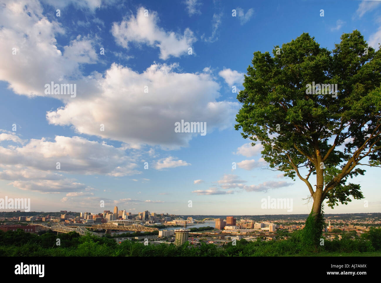 Late afternoon on Cincinnati skyline as seen from Devou Park in ...