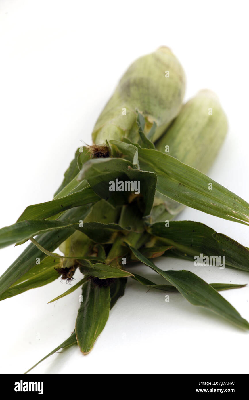 Corn cobb Cut Out Stock Images & Pictures - Alamy