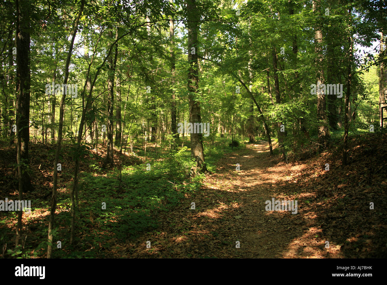 Old trace hi-res stock photography and images - Alamy