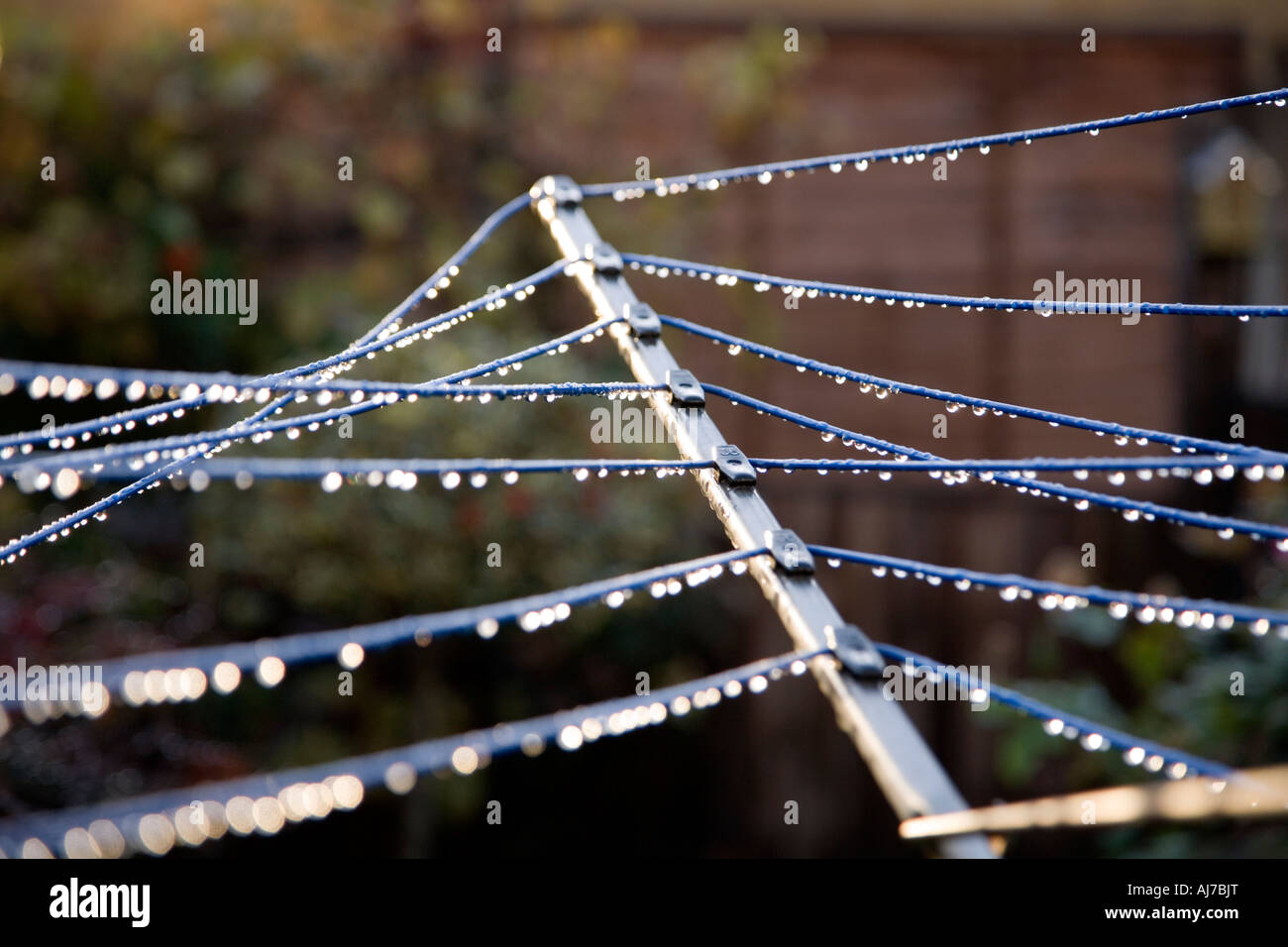 Washing line with rain drops (45 Stock Photo - Alamy