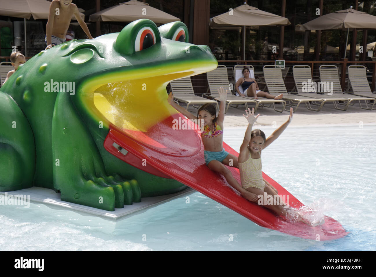 Pennsylvania frog hi-res stock photography and images - Alamy