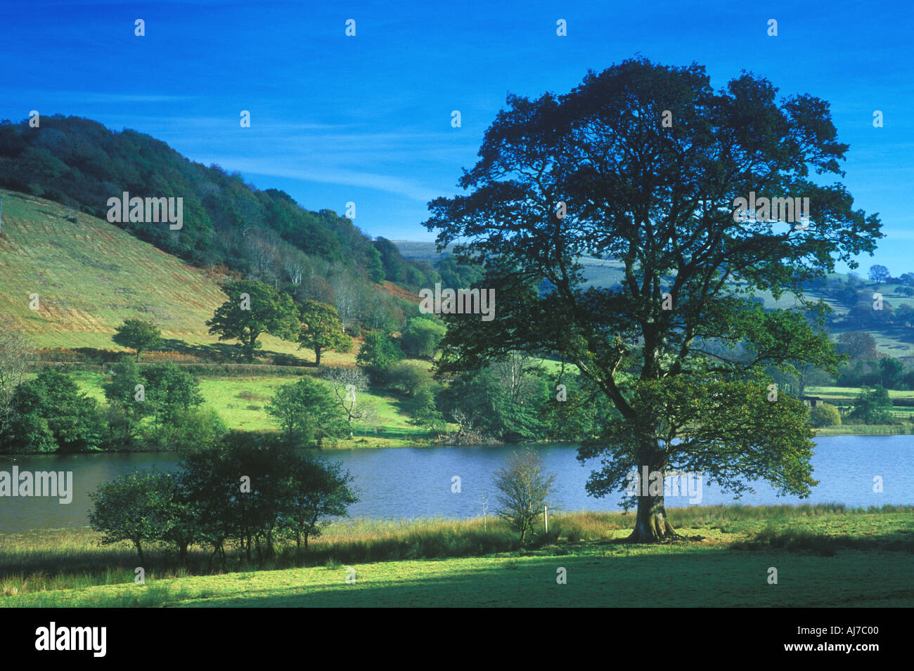 Upper talley lake hi-res stock photography and images - Alamy