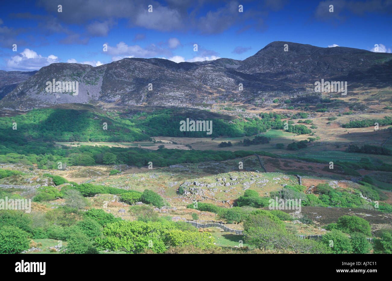 Cwm bychan hi-res stock photography and images - Alamy