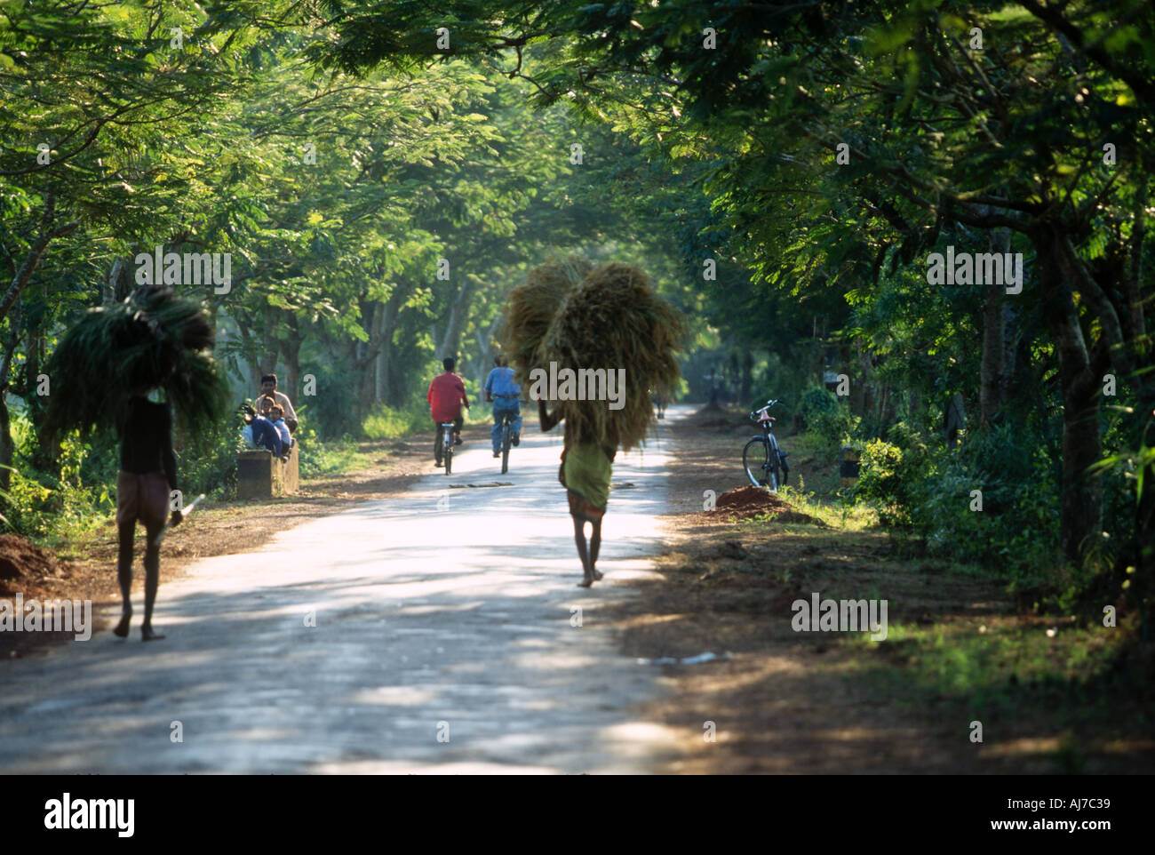 India asia sb hi-res stock photography and images - Alamy