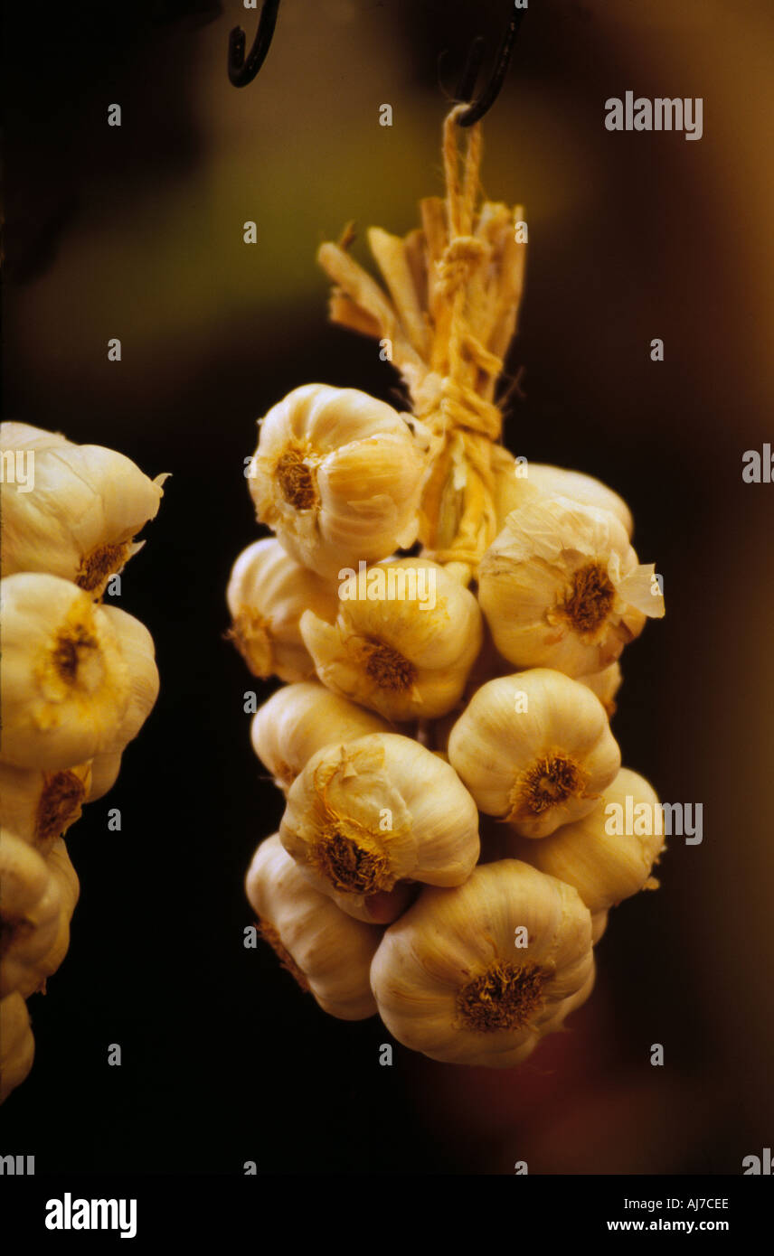 Garlic hanging in market Stock Photo - Alamy