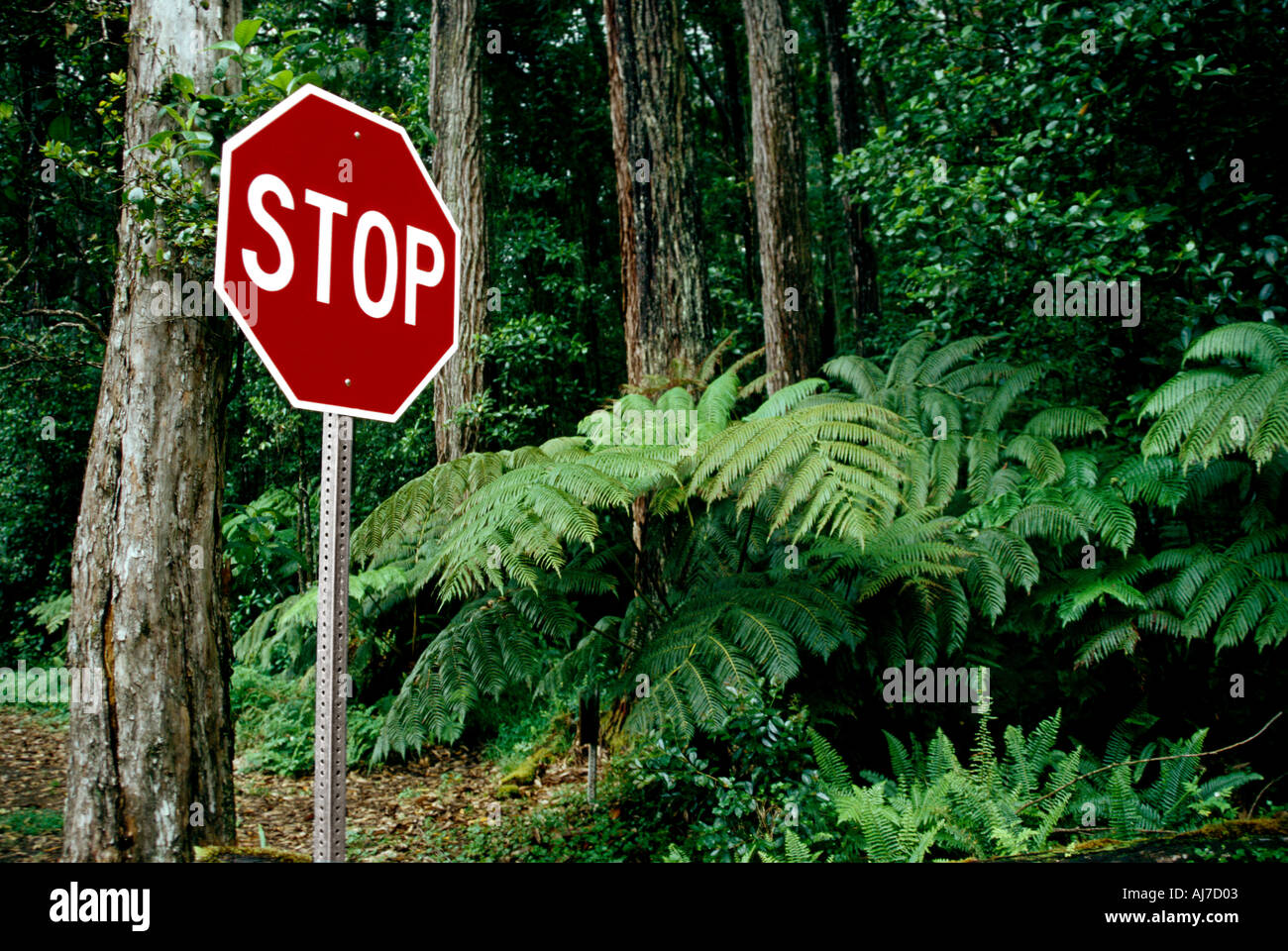 stop sign against foliage background Stock Photo - Alamy