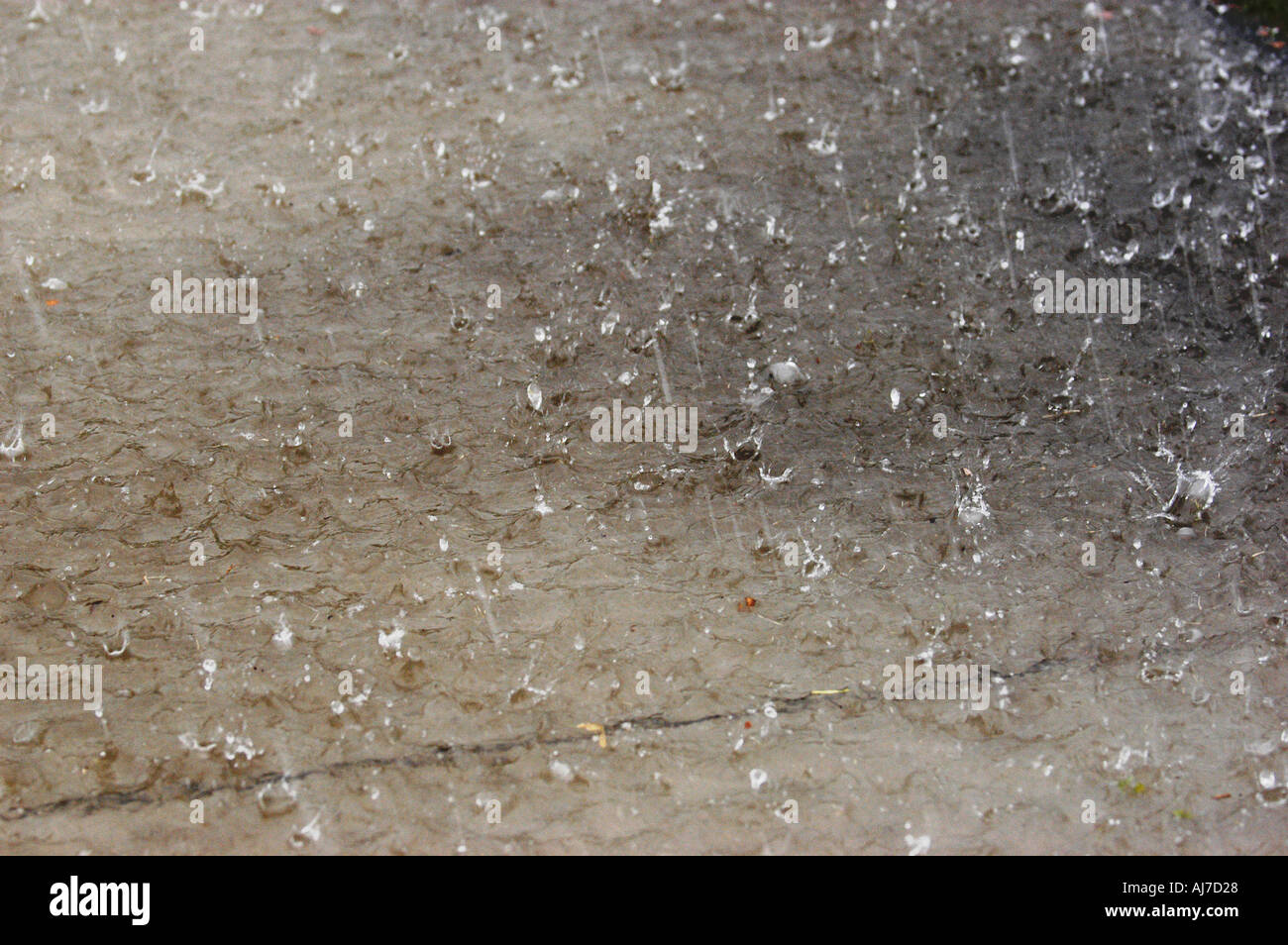 Rain drops ground hi-res stock photography and images - Alamy