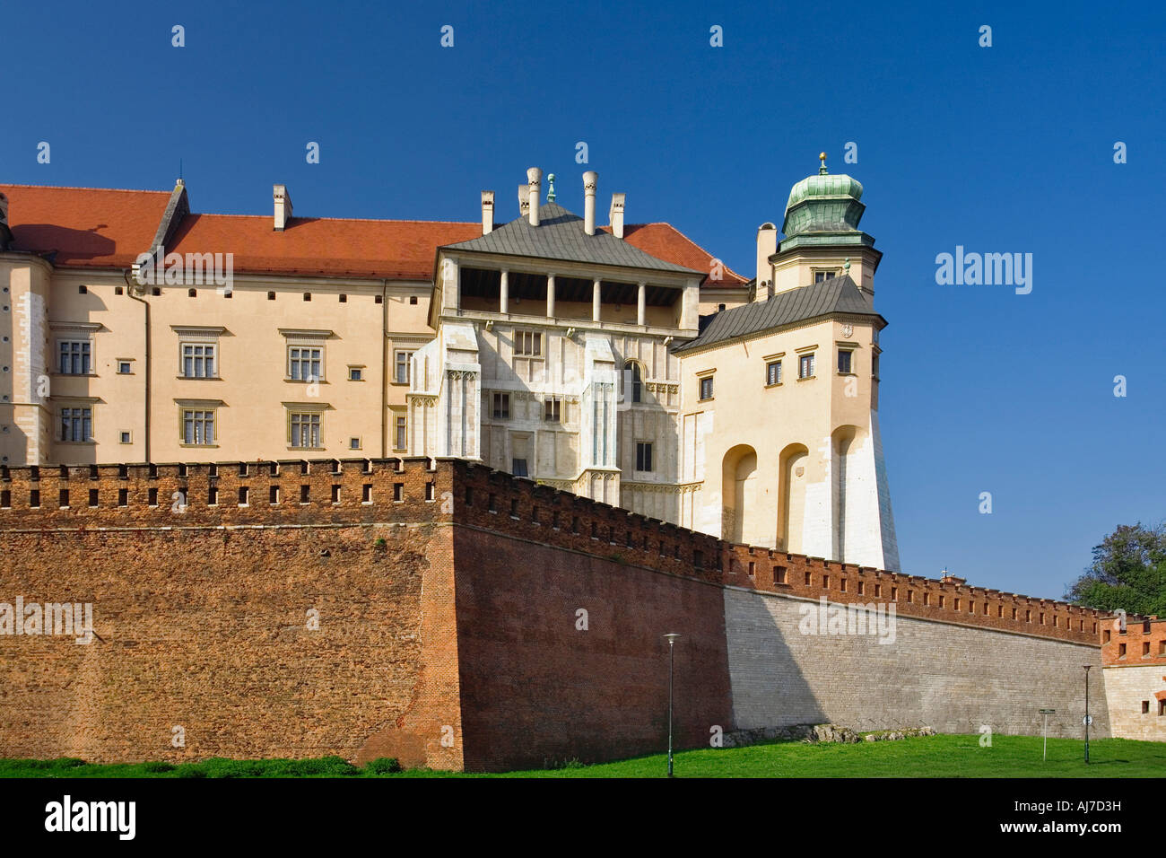 Prominent claw structure hi-res stock photography and images - Alamy