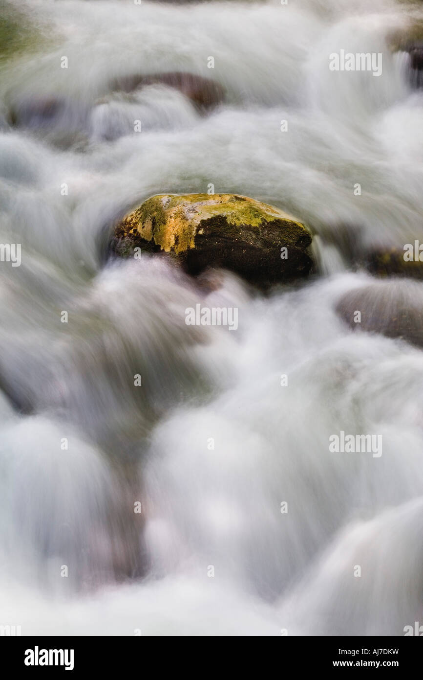 Rushing water cascading down one of many beautiful streams in the Great ...