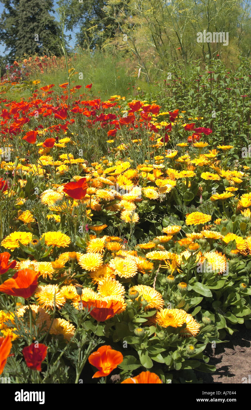 Mixed Flower Border Stock Photo - Alamy