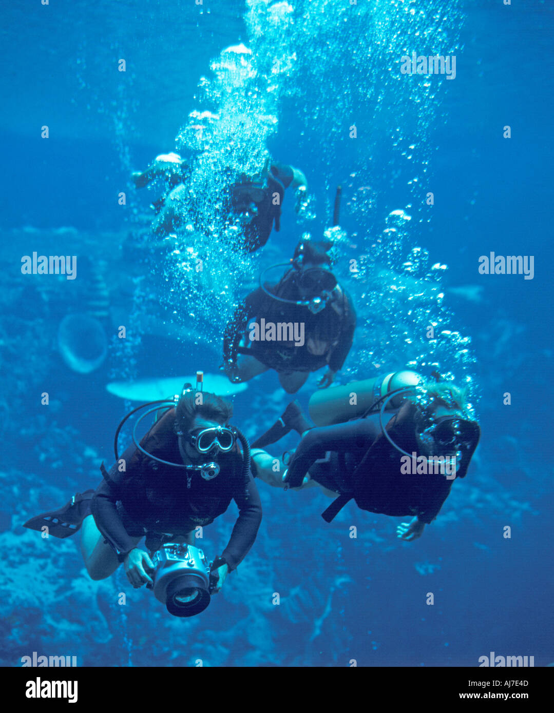 skin divers exploring caves Florida spring USA Stock Photo - Alamy