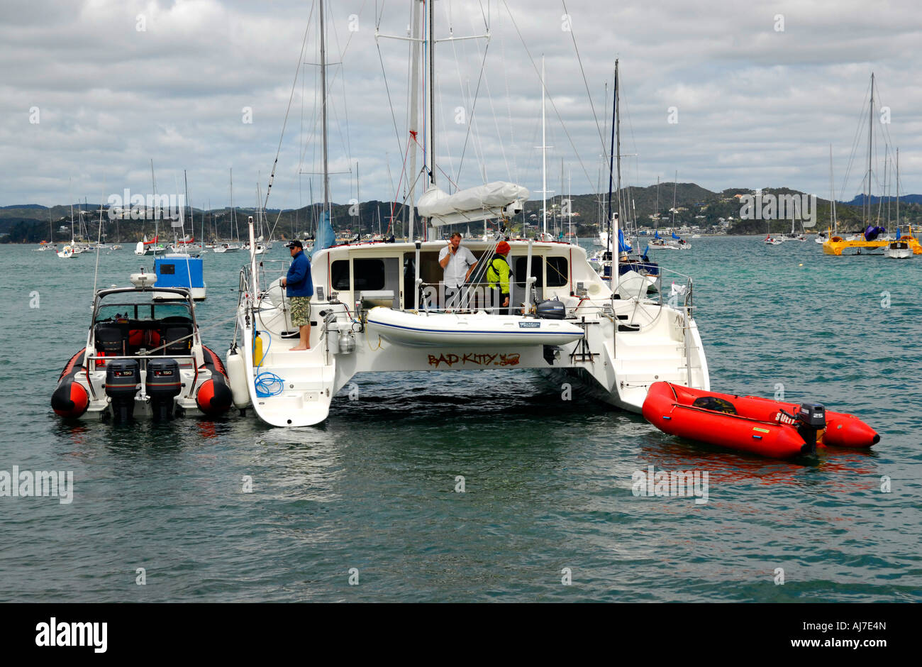 Catamaran moored off the town beach, Russell, Bay of Islands, North ...