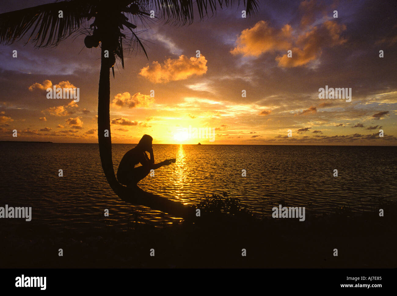 SILHOUETTE OF LONE INDIVIDUAL LEANING AGAINST PALM TREE AT SUNSET ...