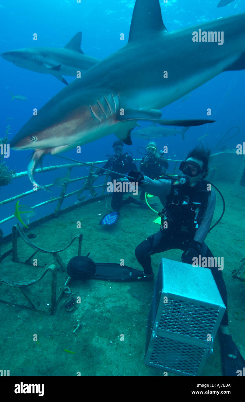 Divers hand hi-res stock photography and images - Alamy