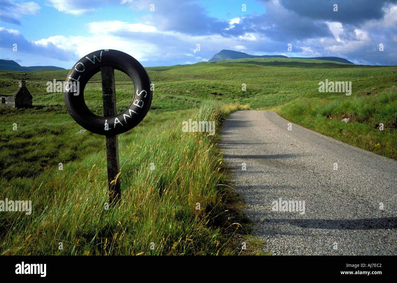 Slow sheep on road hi-res stock photography and images - Alamy