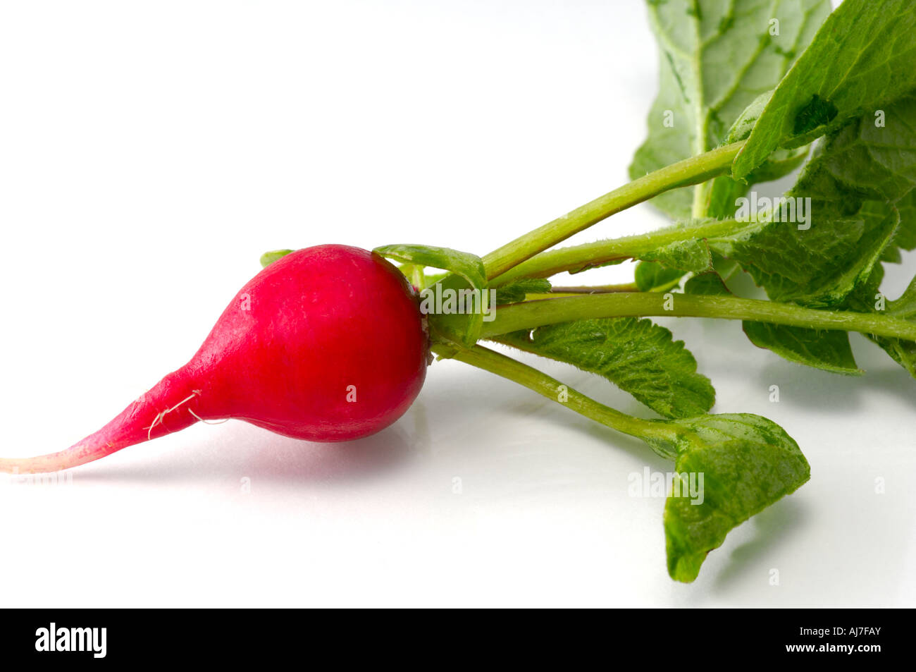 White radish salad hi-res stock photography and images - Alamy