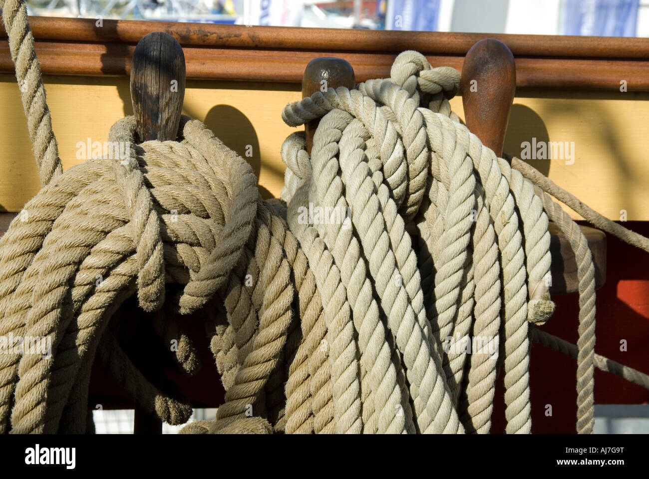 Spike Marlin High Resolution Stock Photography and Images - Alamy