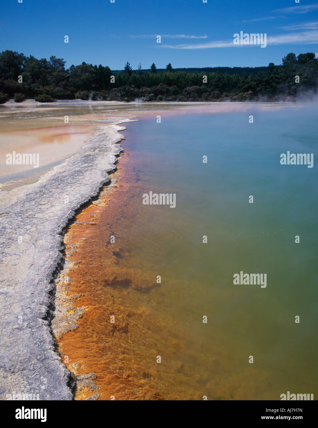 Champagne pool Waiotapu Thermal Park Rotorua "New Zealand Stock Photo ...