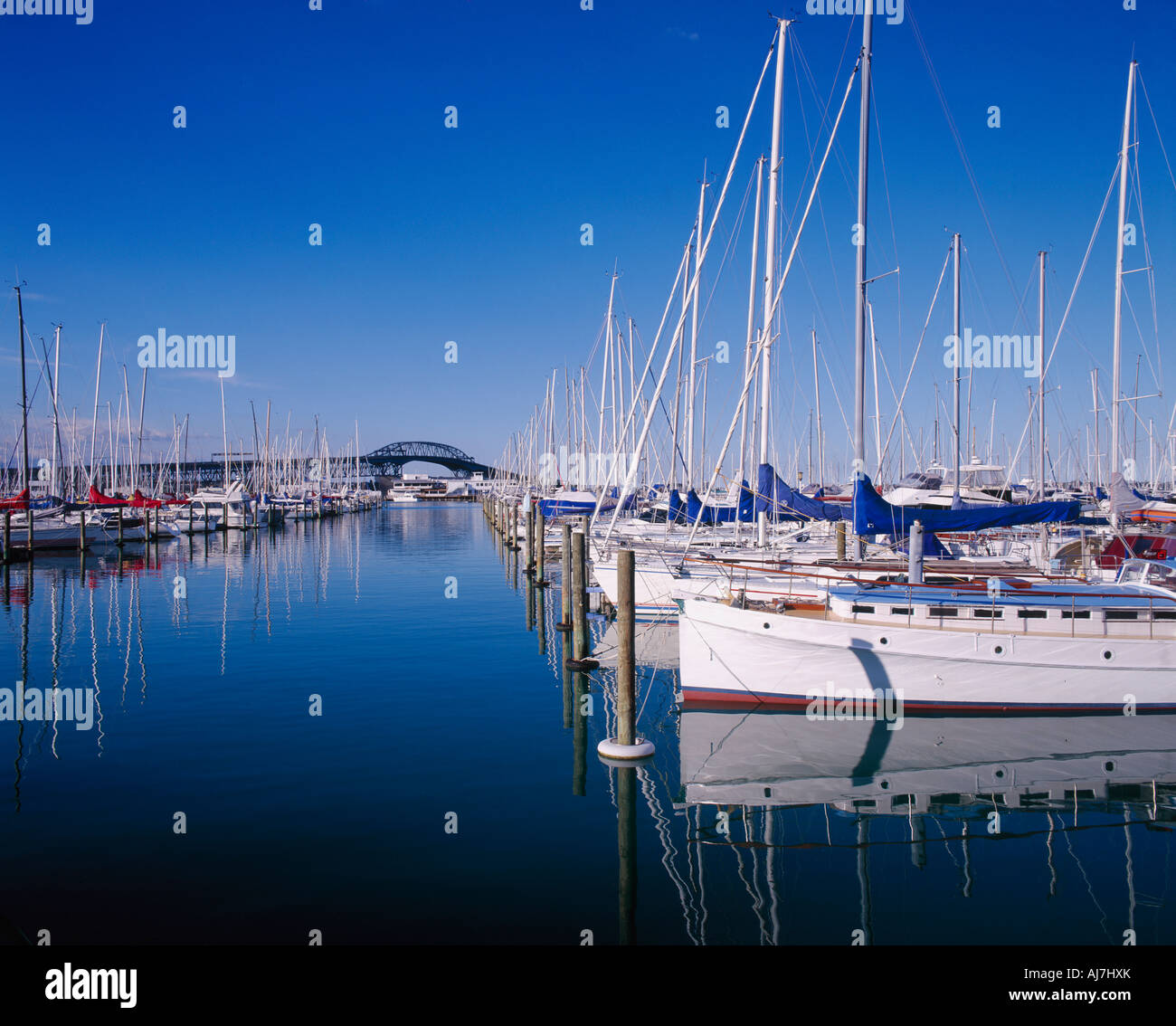 Auckland yacht marina and harbour "North Island" "New Zealand Stock ...