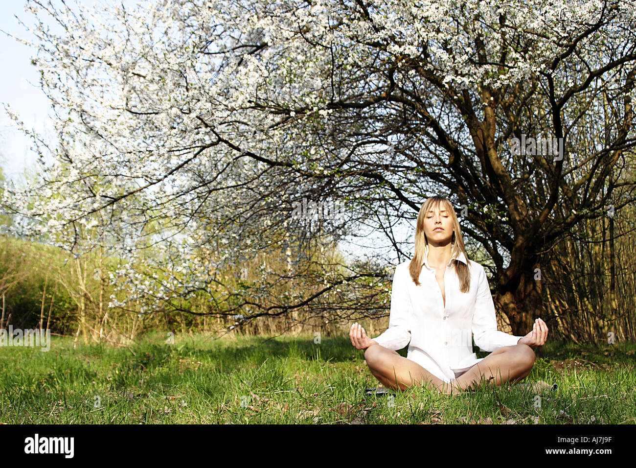 Woman meditating under a tree Stock Photo - Alamy