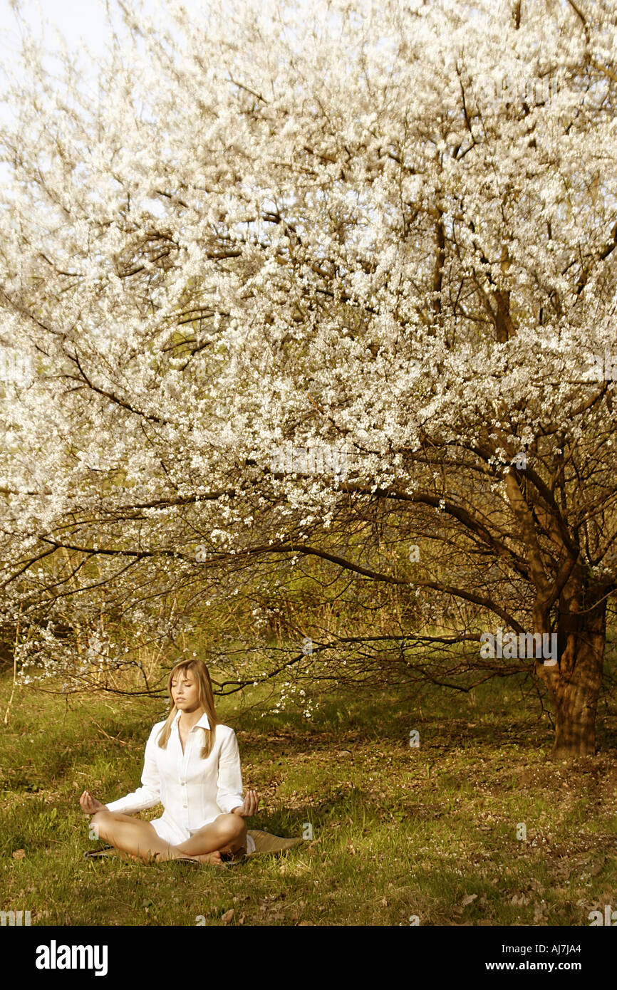 Woman meditating under a tree Stock Photo - Alamy