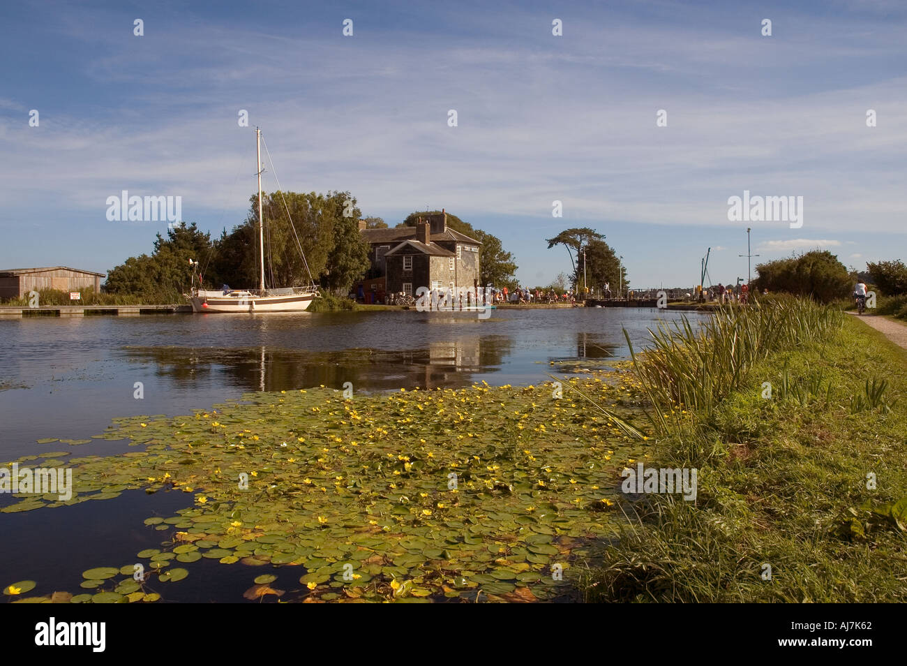 Turf hotel devon hi-res stock photography and images - Alamy