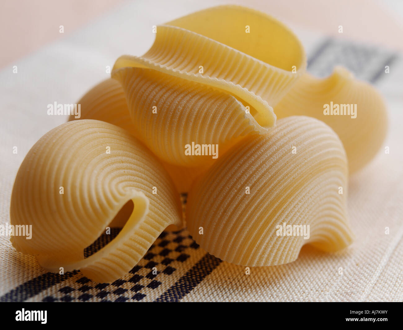 Italian dried lumaconi pasta shells Stock Photo - Alamy
