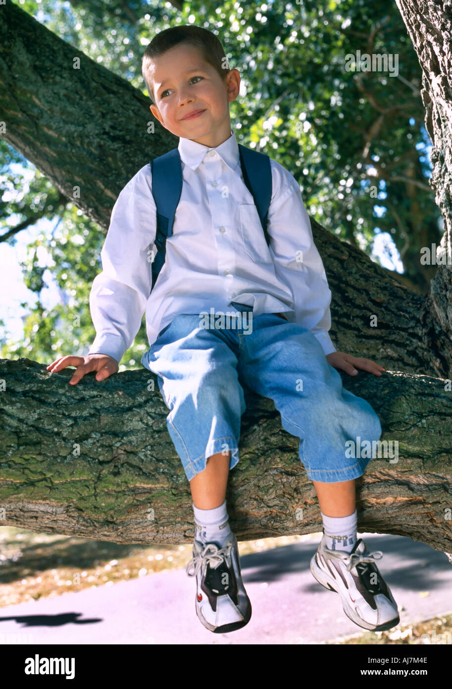 child boy schoolboy smile smiling knapsack sit sitting tree trees ...