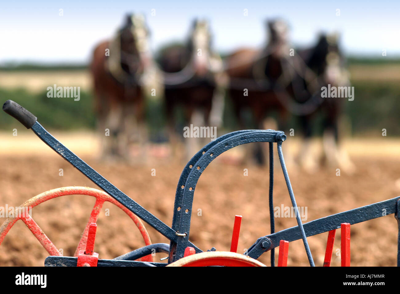 Traditional plough with heavy horses in background Stock Photo - Alamy
