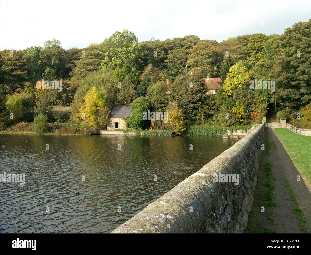 Linacre Reservoir near Chesterfield Derbyshire England Stock Photo - Alamy