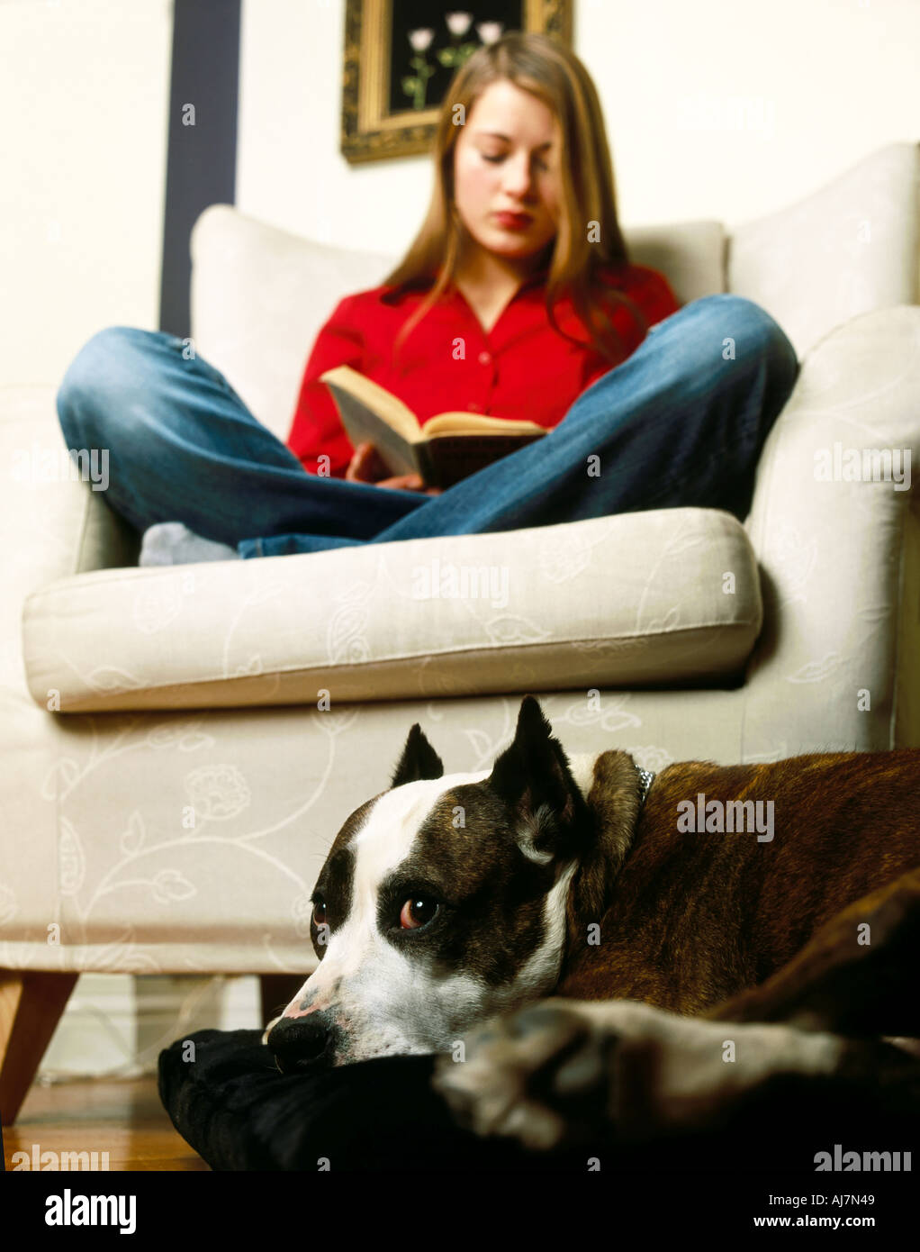 indoor flat room salon paint paints lamp woman girl 20 25 young ...