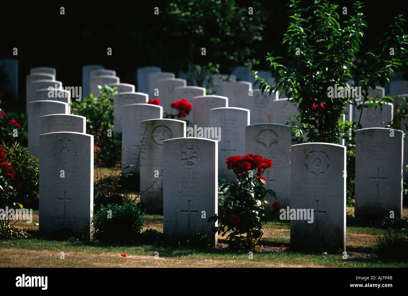 Gravestones for soldiers at Commonwealth War Graves Commission cemetery ...