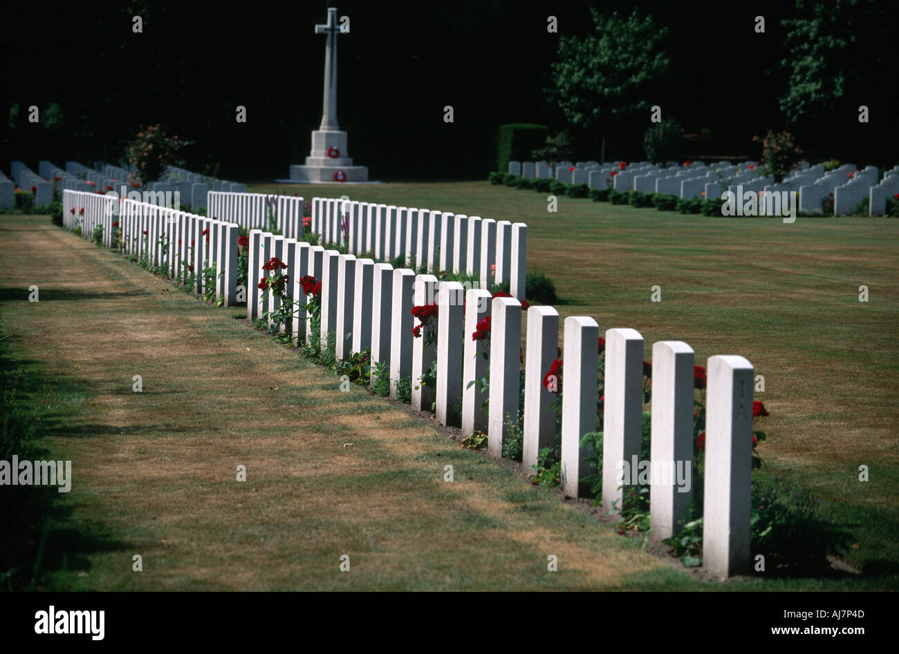 Gravestones for soldiers at Commonwealth War Graves Commission cemetery ...