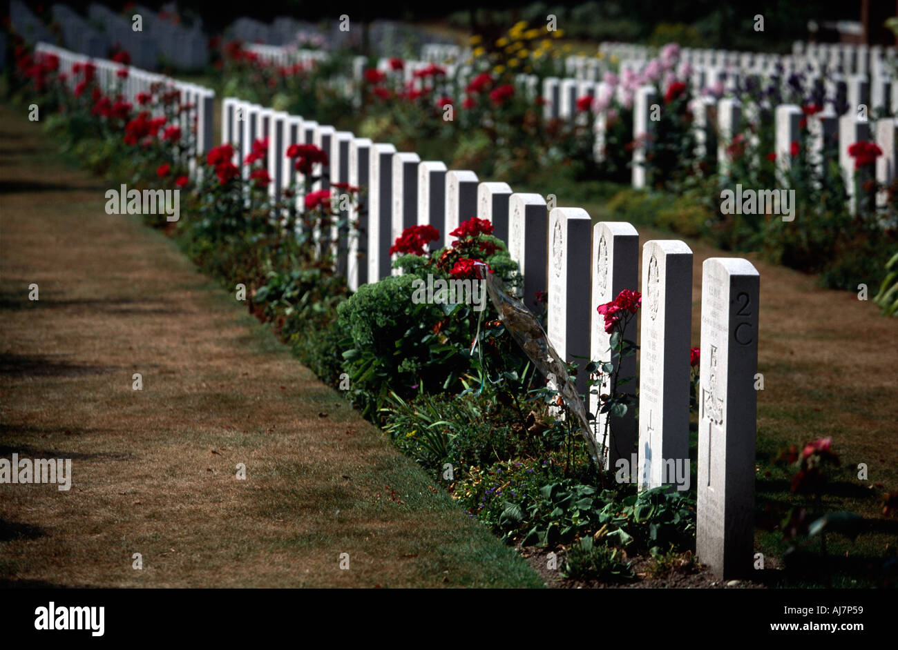 Gravestones for soldiers at Commonwealth War Graves Commission cemetery ...