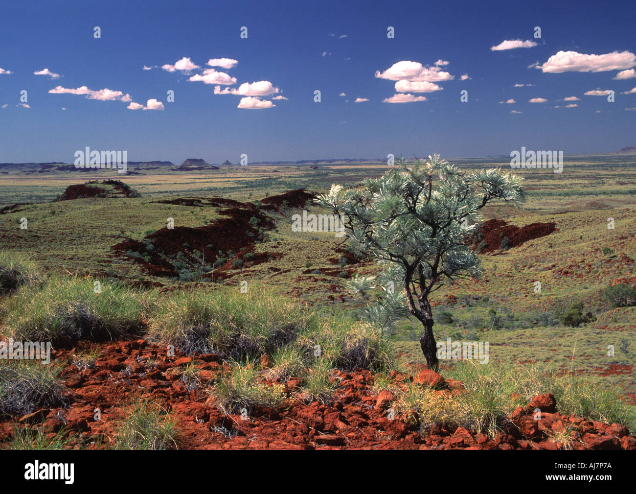 Chichester millstream national park hi-res stock photography and images ...