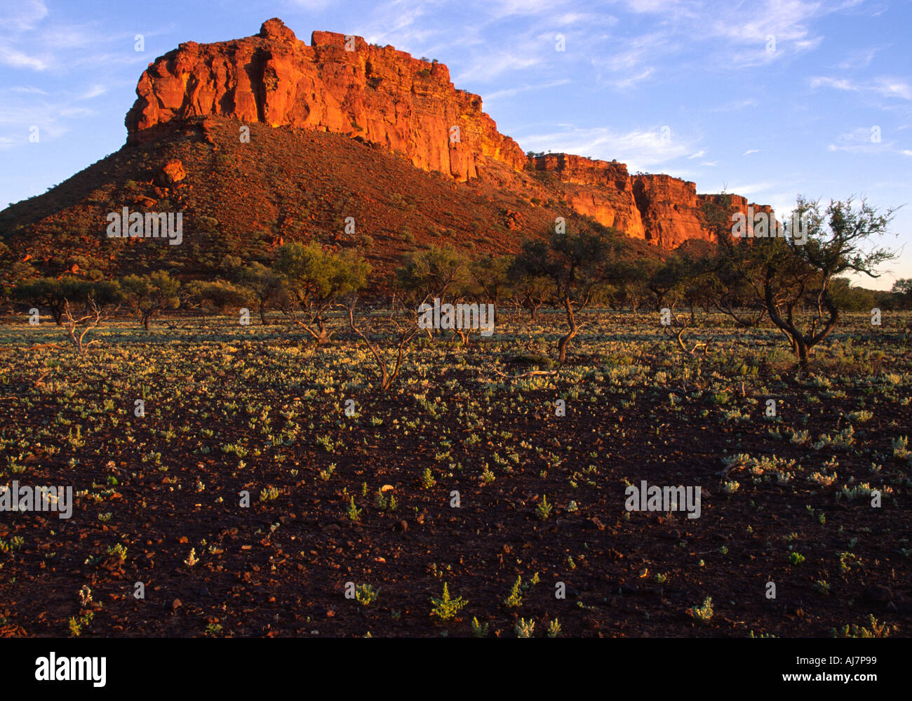 Kennedy range national park hi-res stock photography and images - Alamy