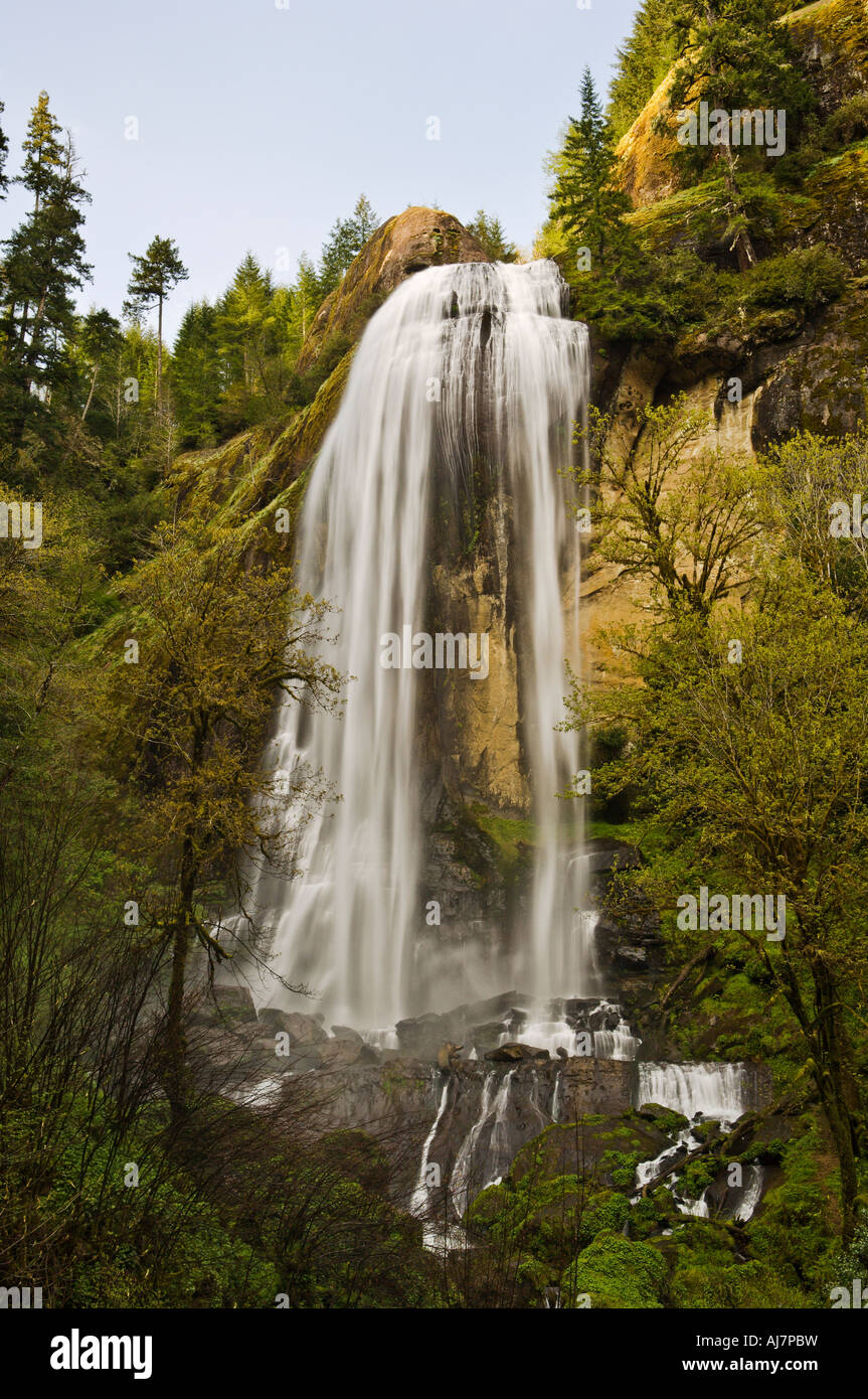 Silver Falls at Golden and Silver Falls State Park Coast Range ...