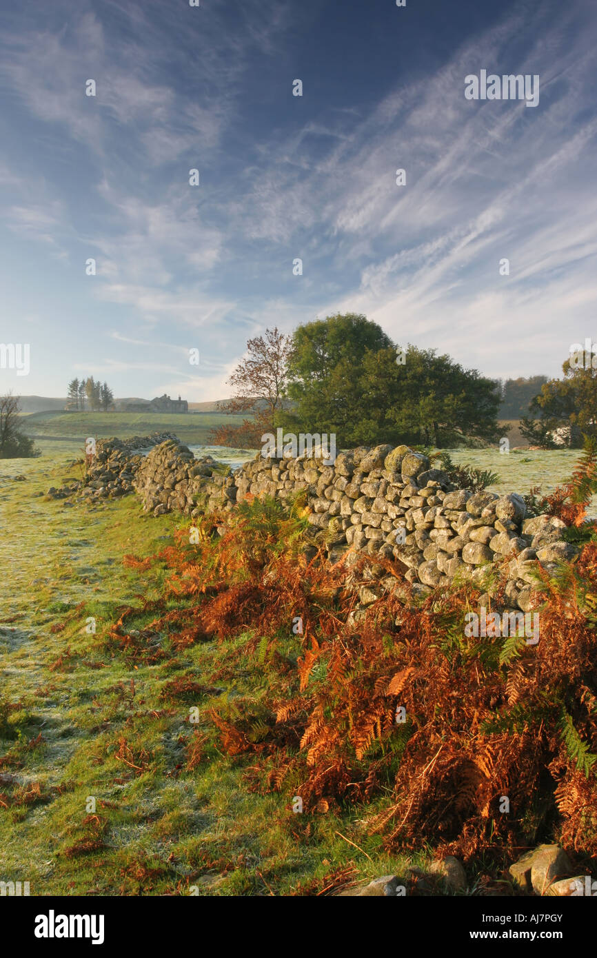 Holwick autumn hi-res stock photography and images - Alamy