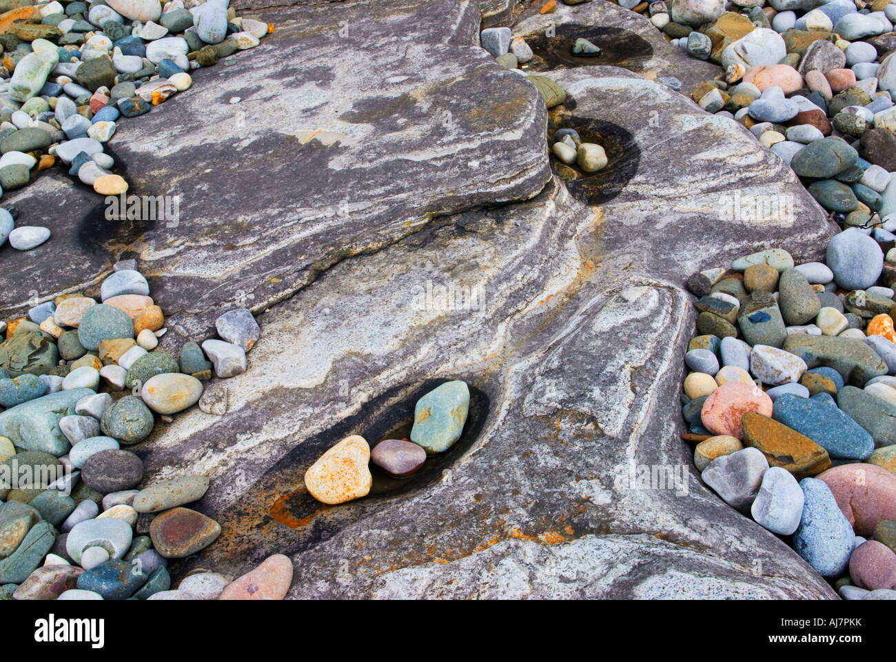 Tidal flotsam hi-res stock photography and images - Alamy