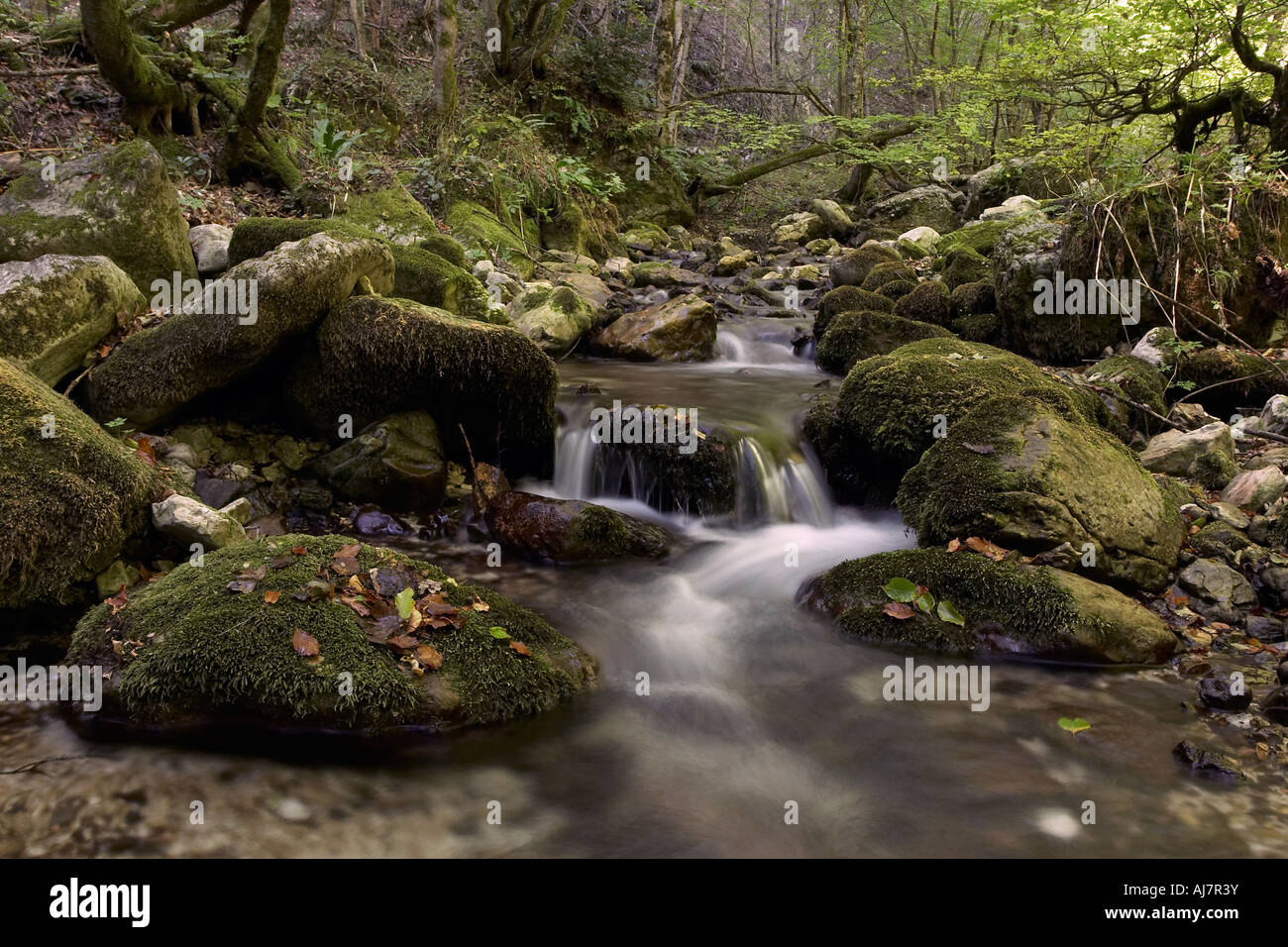 stream in the Infernaccio gorge in the Apennines mountain chain Italy ...