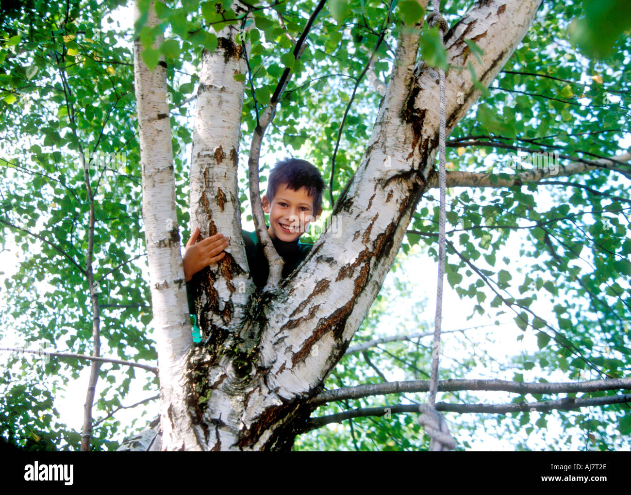 Boy scared tree hi-res stock photography and images - Alamy