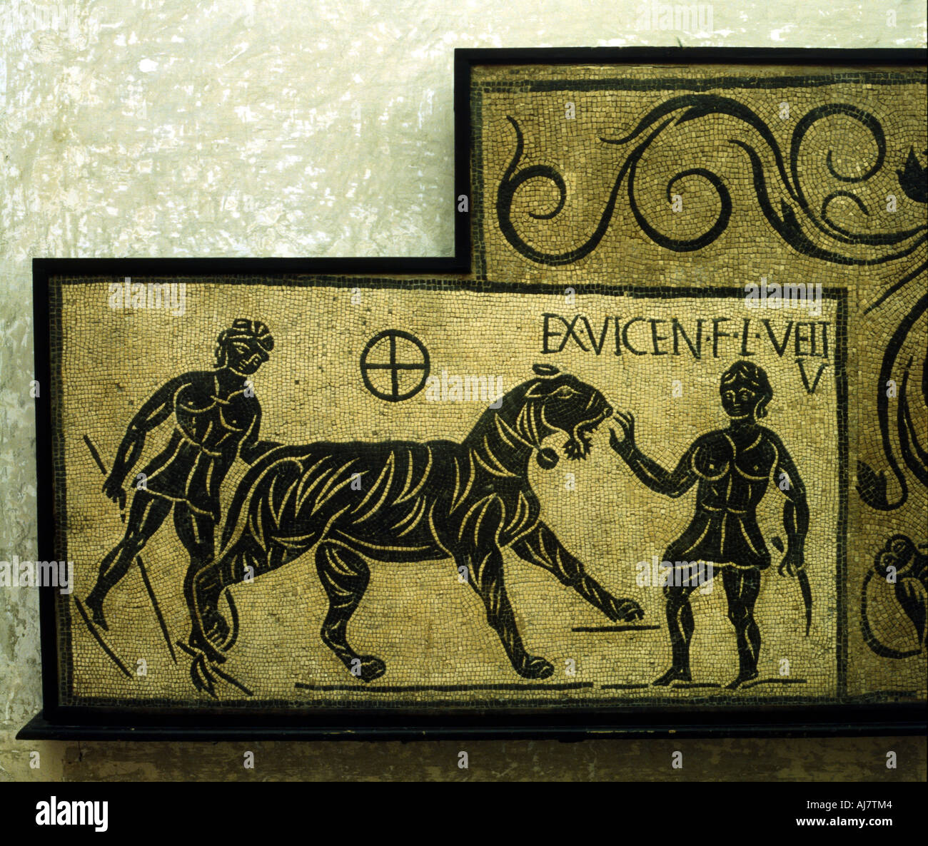 Roman mosaic gladiator hi-res stock photography and images - Alamy