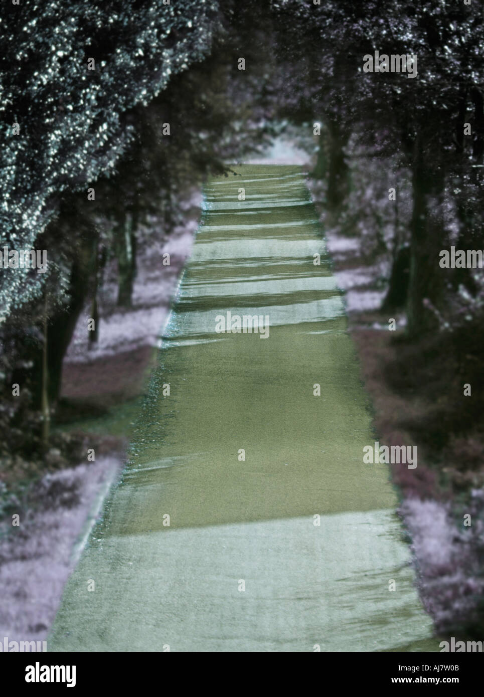 Road going up Stock Photo - Alamy