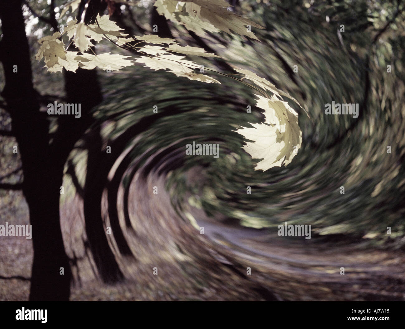 wind on road Stock Photo - Alamy